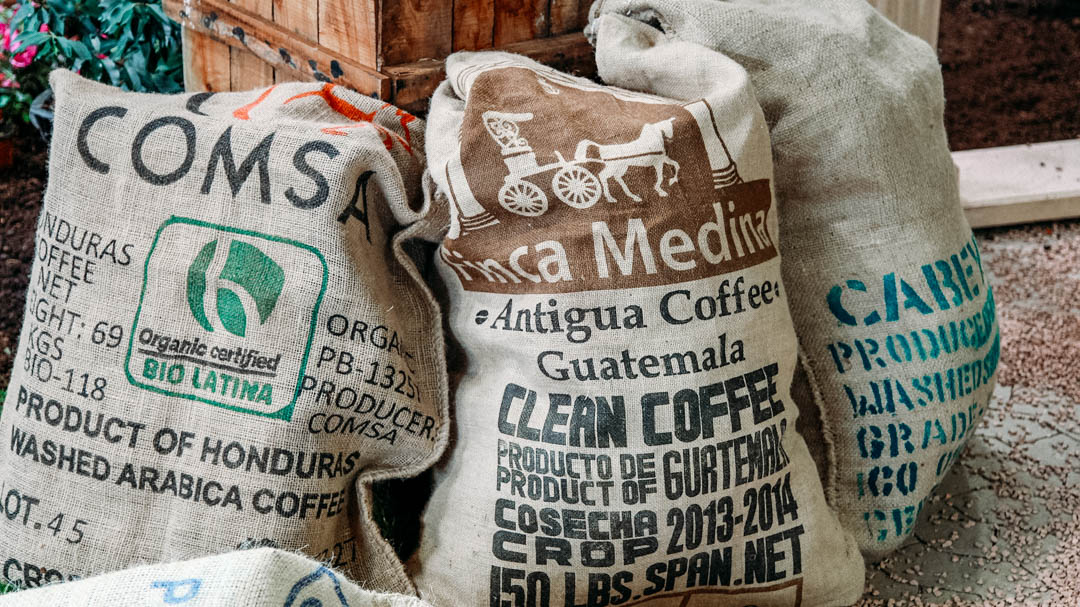 Ethical Coffee Buying Guide - How to buy ethical, sustainable coffee