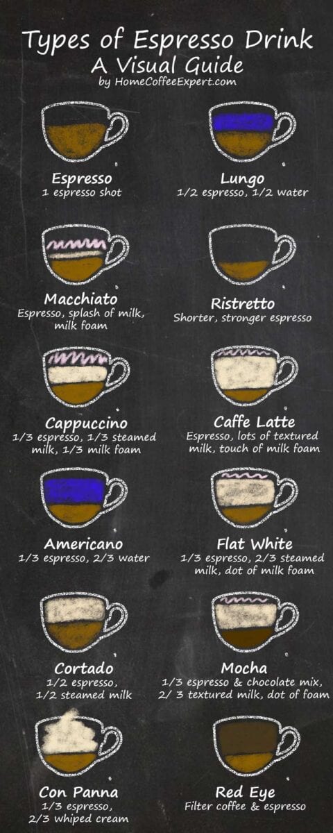 Types of Espresso Drinks 101: A Complete Espresso-Pedia