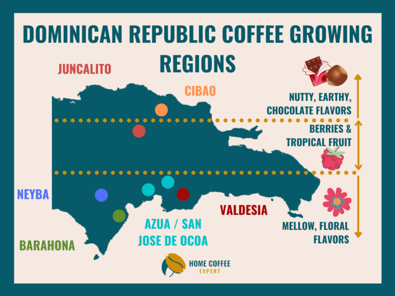 Domincan Coffee Beans: Ultimate Guide + Best Coffees To Try
