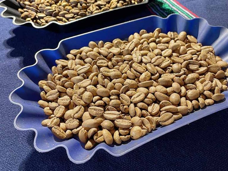 What is Magic Coffee? [Australia's Hottest New Coffee Order]